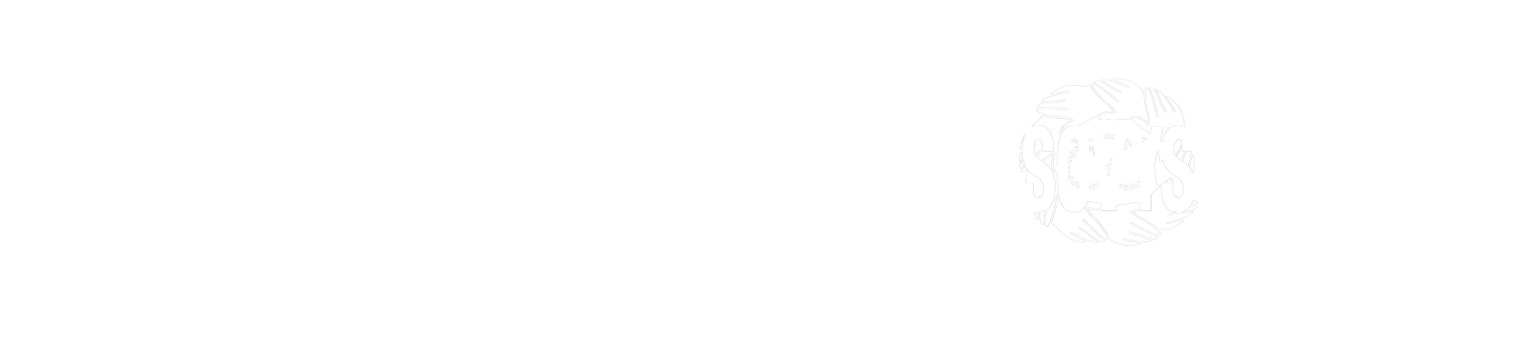 Our Team - Sarac (Sexual Abuse Rape Advice Centre)