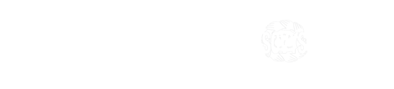 How We Help - Sarac (Sexual Abuse Rape Advice Centre)